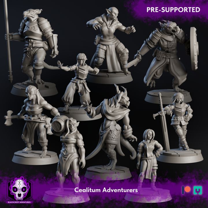 3D Printable Caelitum Adventurers (9 Models) by Blackcrest Miniatures